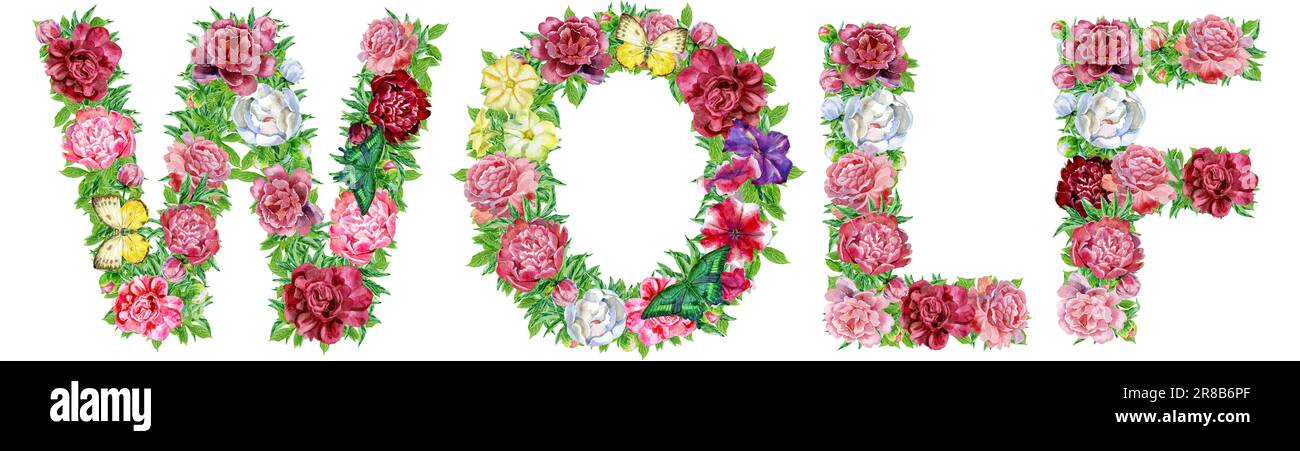 Word WOLF of watercolor flowers, isolated hand drawn on a white ...