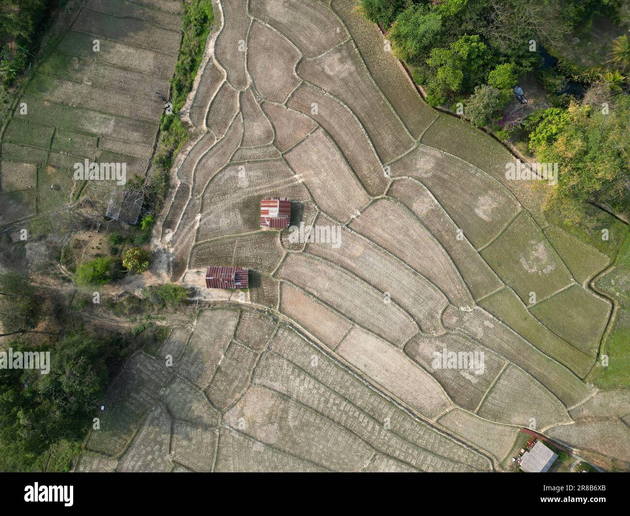 Aerial view of a vibrant and lush rural landscape featuring rolling ...
