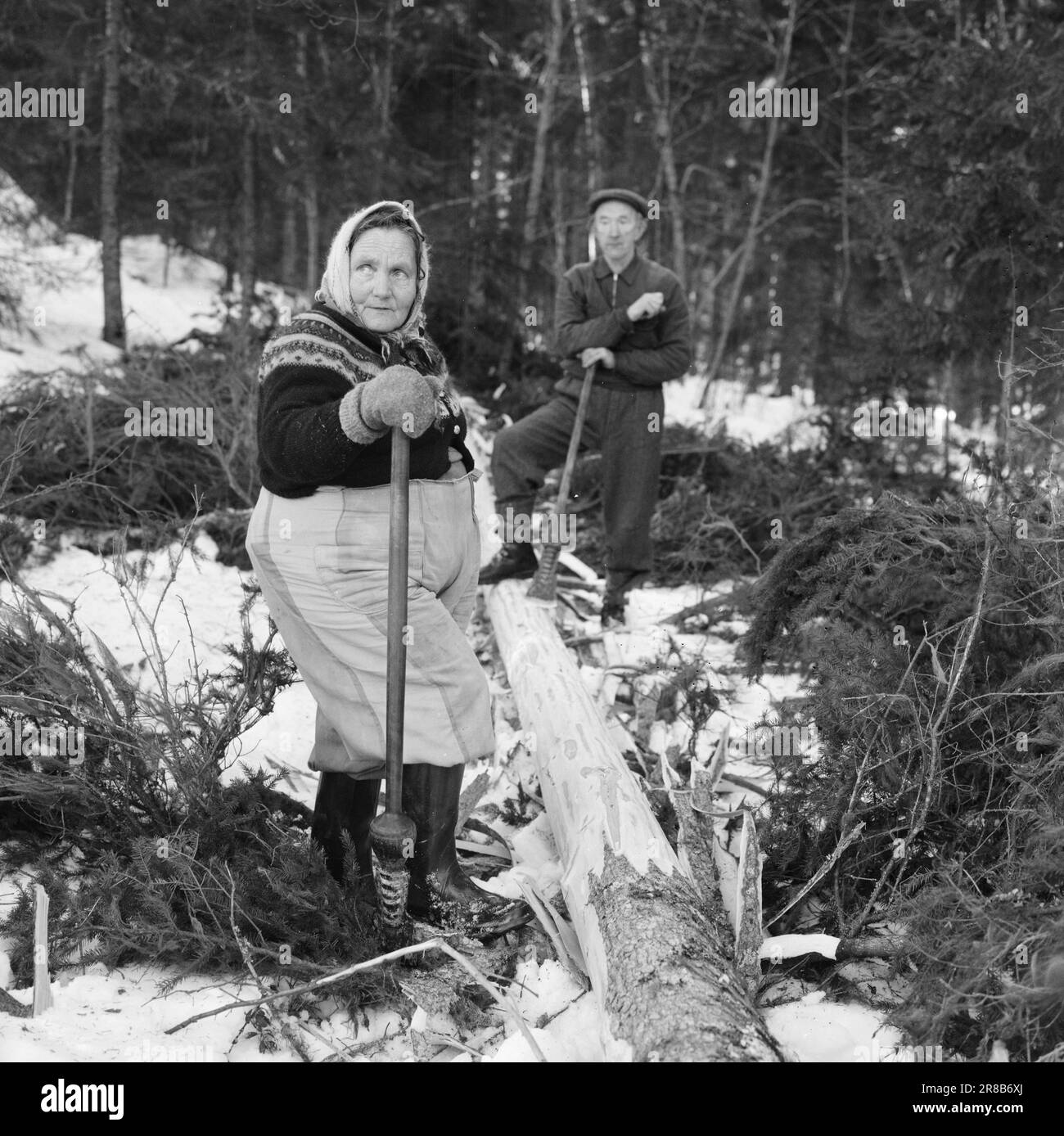 Current 15-8-1960: Anna with the axe Strong as a gamp, mature as a ...