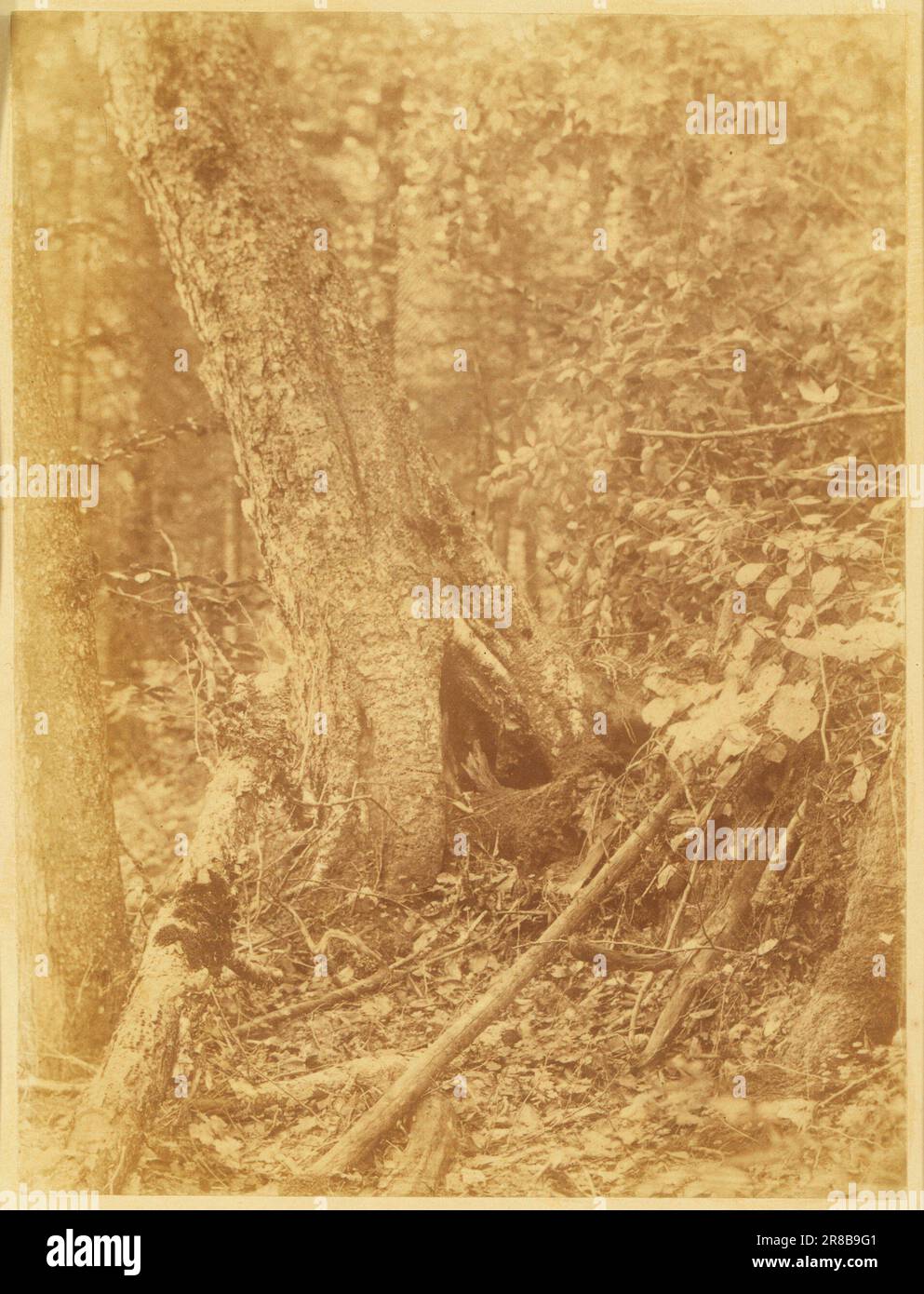 James stillman hi-res stock photography and images - Alamy