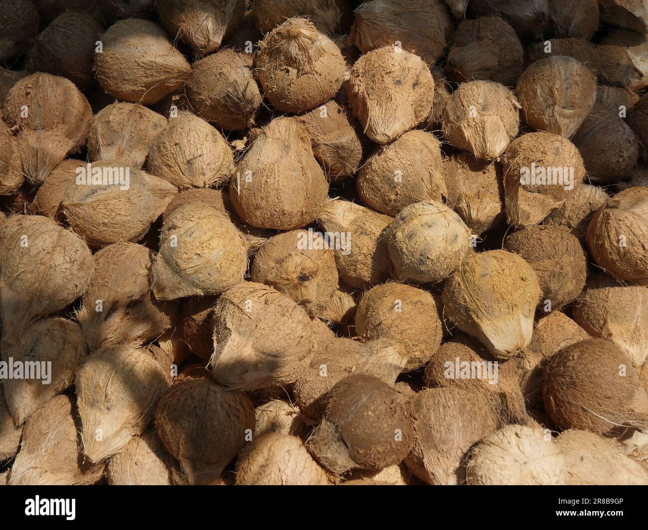 Vietnam, Mekong Delta, Coconut Factory Stock Photo - Alamy