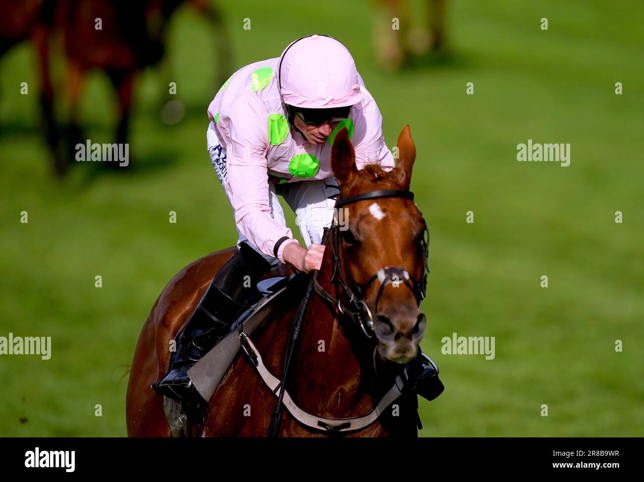 Vauban ascot hi-res stock photography and images - Alamy