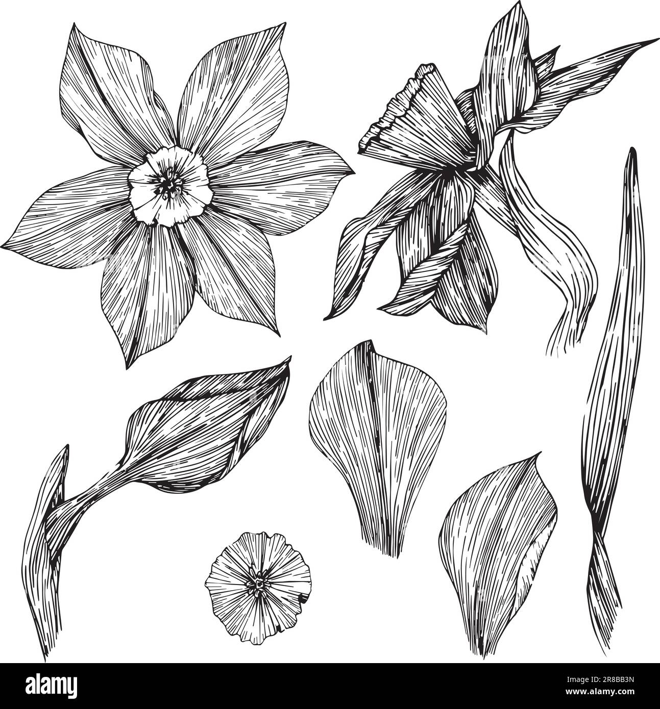 Stunning Vector Core Pictures