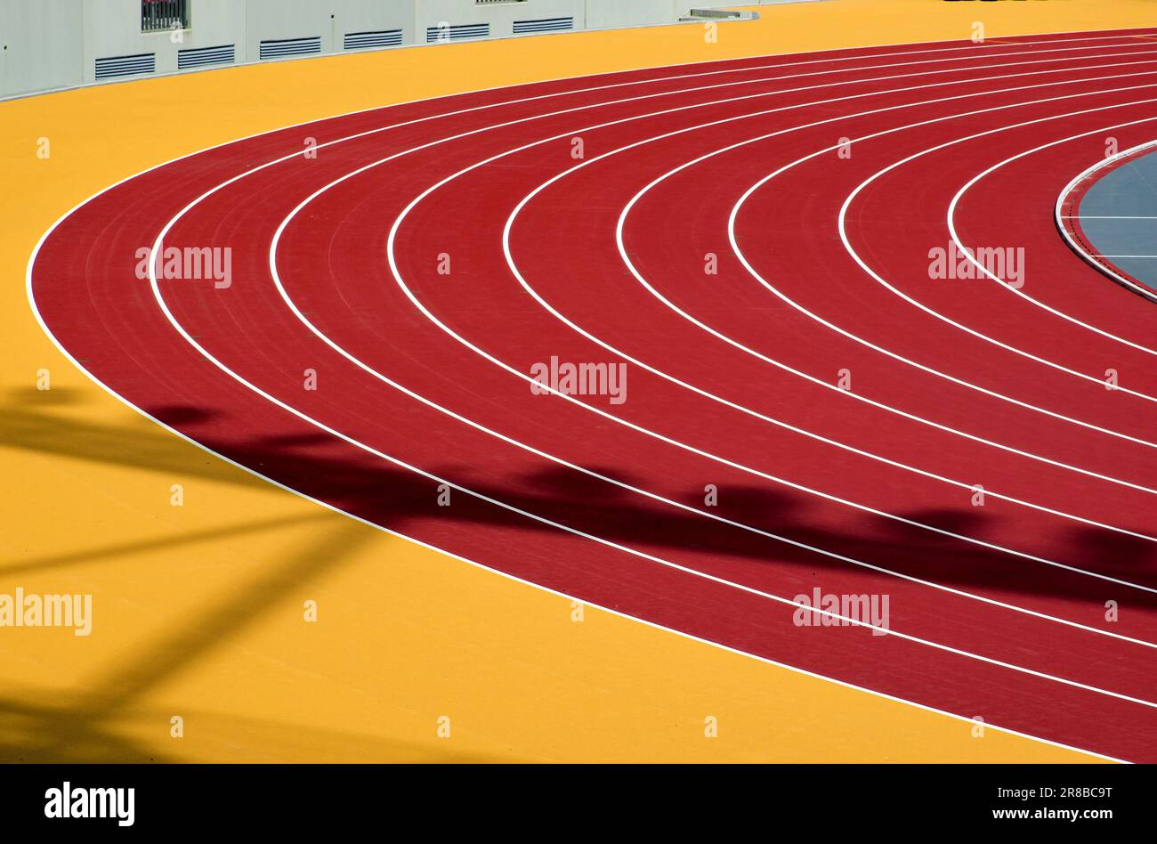 red color padded rubber running track floor closeup. selective focus ...