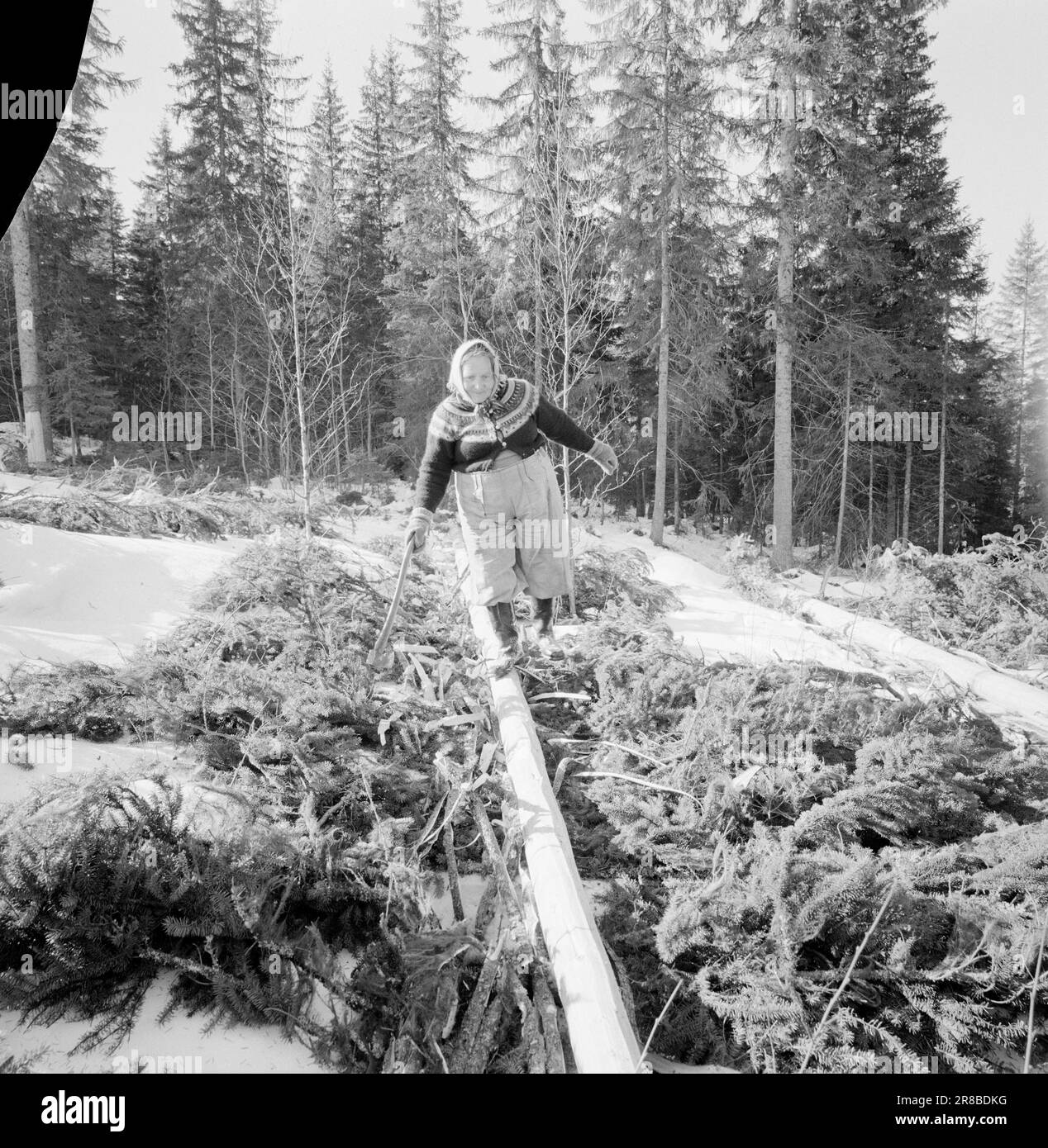 Current 15-8-1960: Anna with the axe Strong as a gamp, mature as a ...