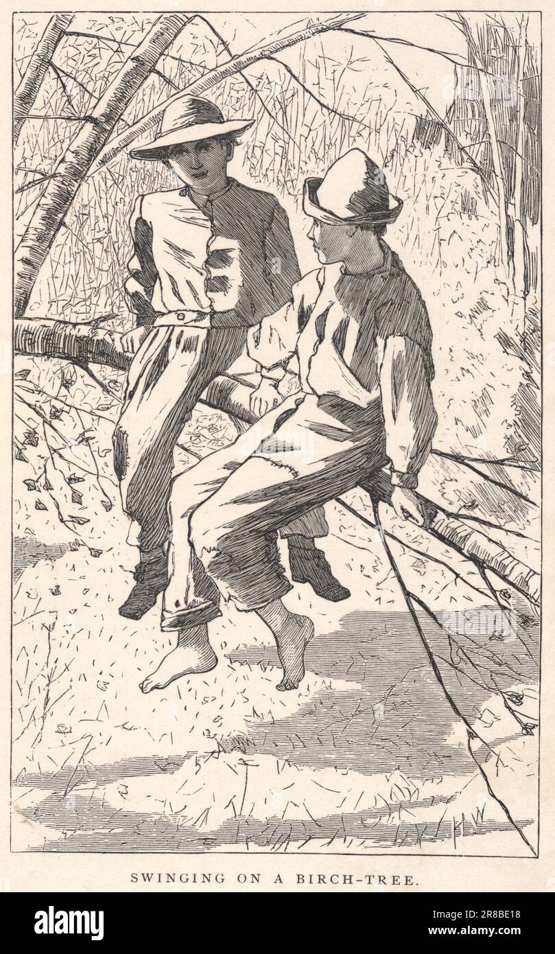 Swinging on a Birch-Tree, from Our Young Folks, June 1867 1867 by ...
