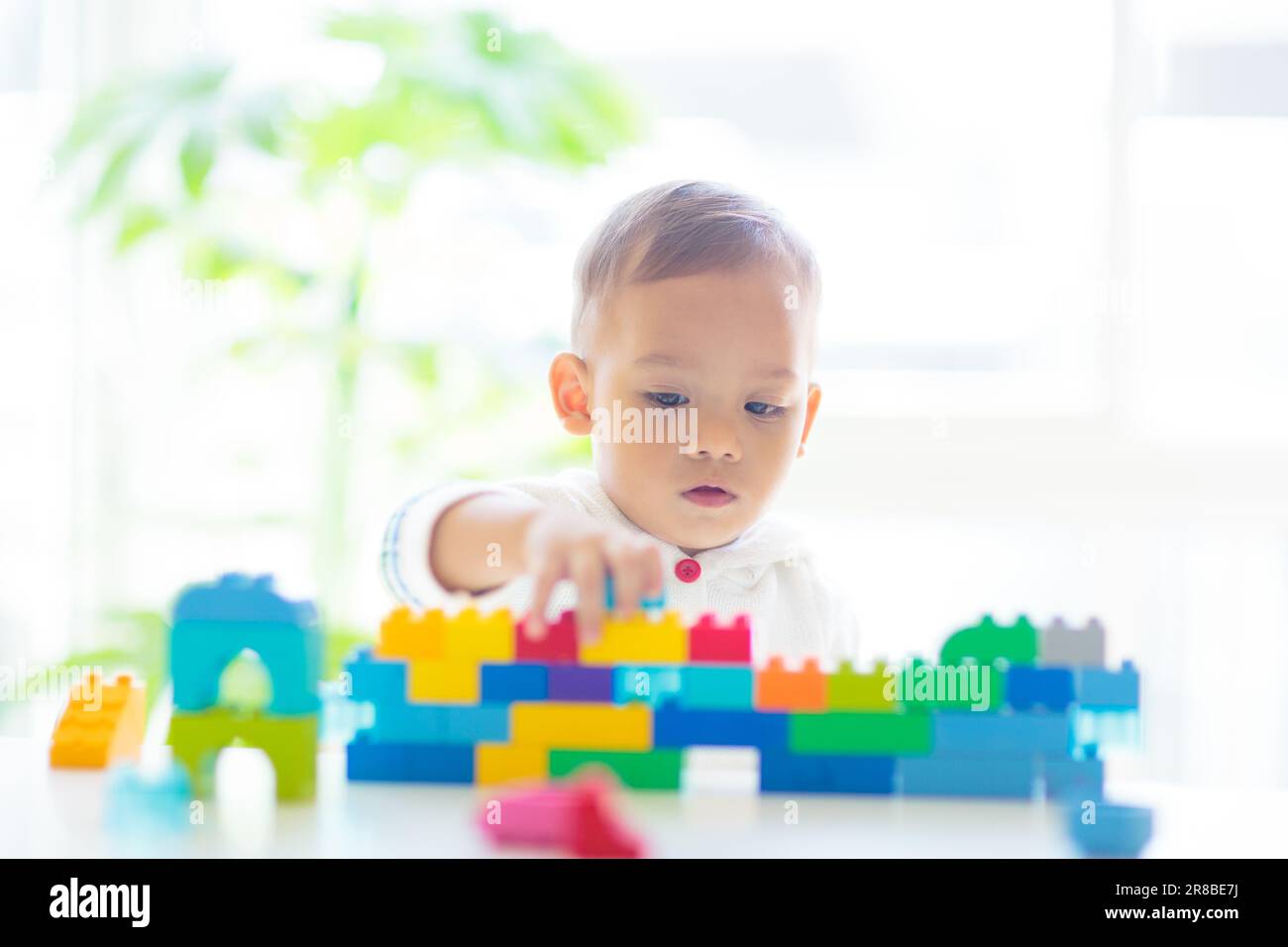 Adorable Asian baby boy playing with colorful blocks toy in white sunny ...