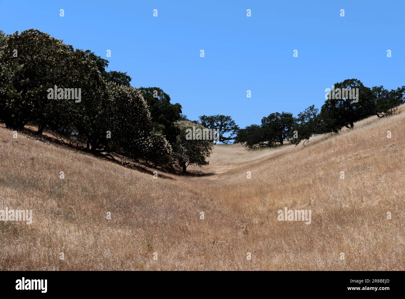 Flat slope hi-res stock photography and images - Alamy
