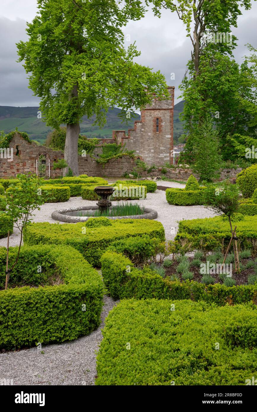 Welsh knot hi-res stock photography and images - Alamy