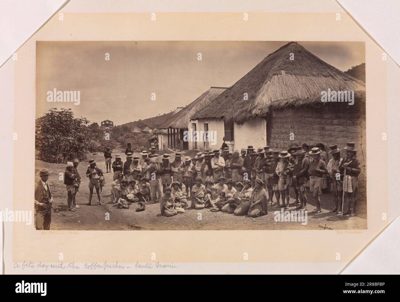 Coffee guatemala 1877 hi-res stock photography and images - Alamy