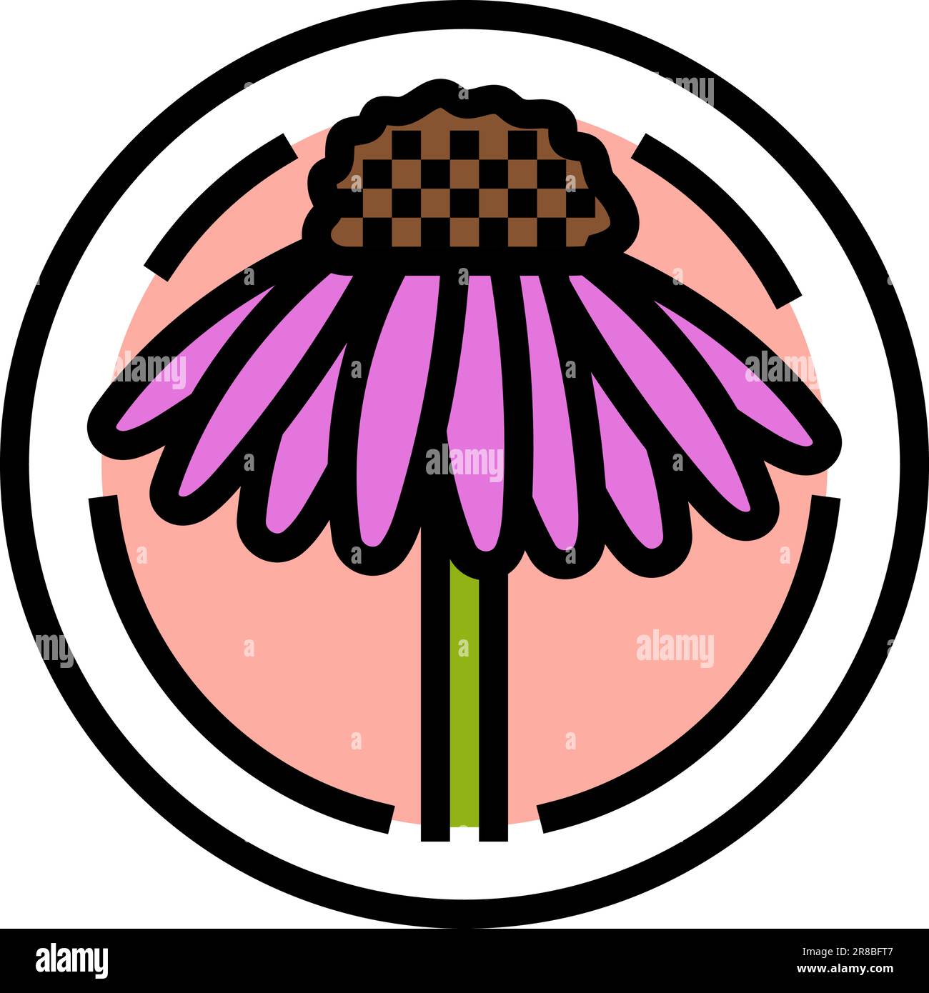 cone flower cosmetic plant color icon vector illustration Stock Vector ...