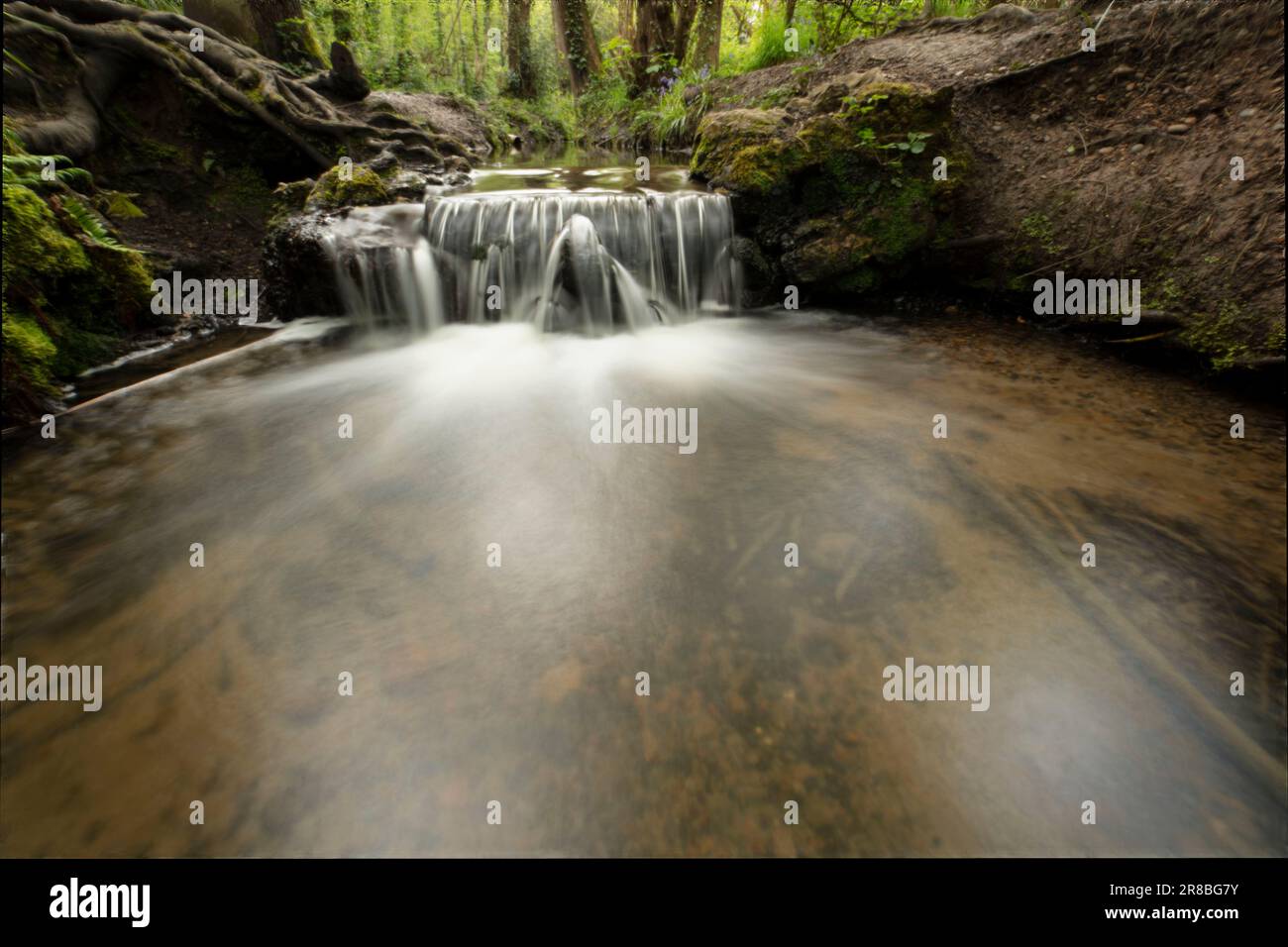 Expansive view of the small waterfall in Keston,late spring sunshine ...
