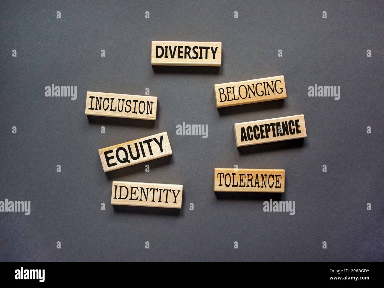 Diversity, inclusion symbol. Diversity belonging inclusion equity ...
