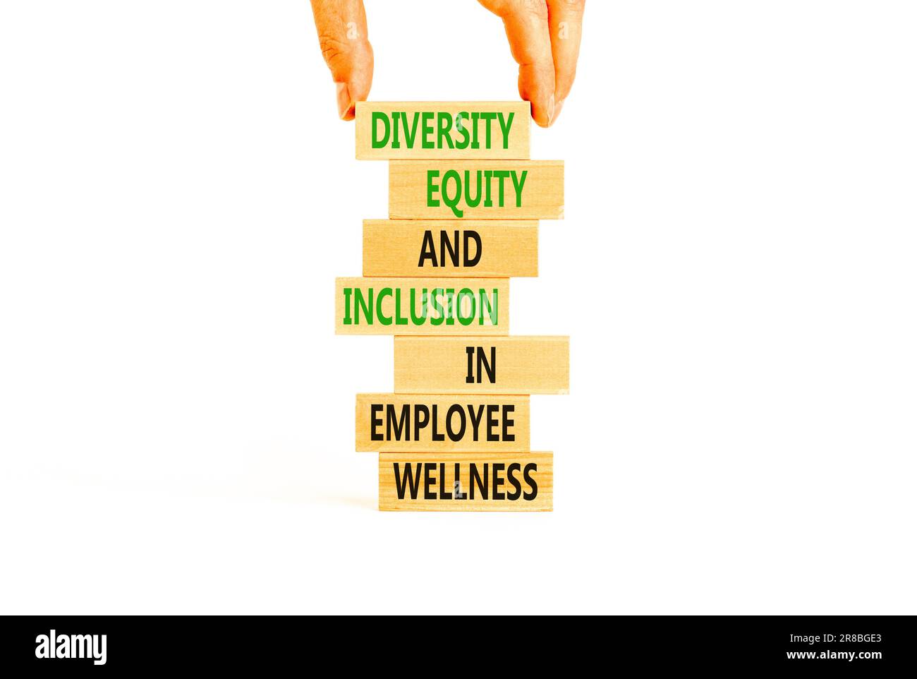 Diversity equity inclusion symbol. Concept words Diversity Equity and ...