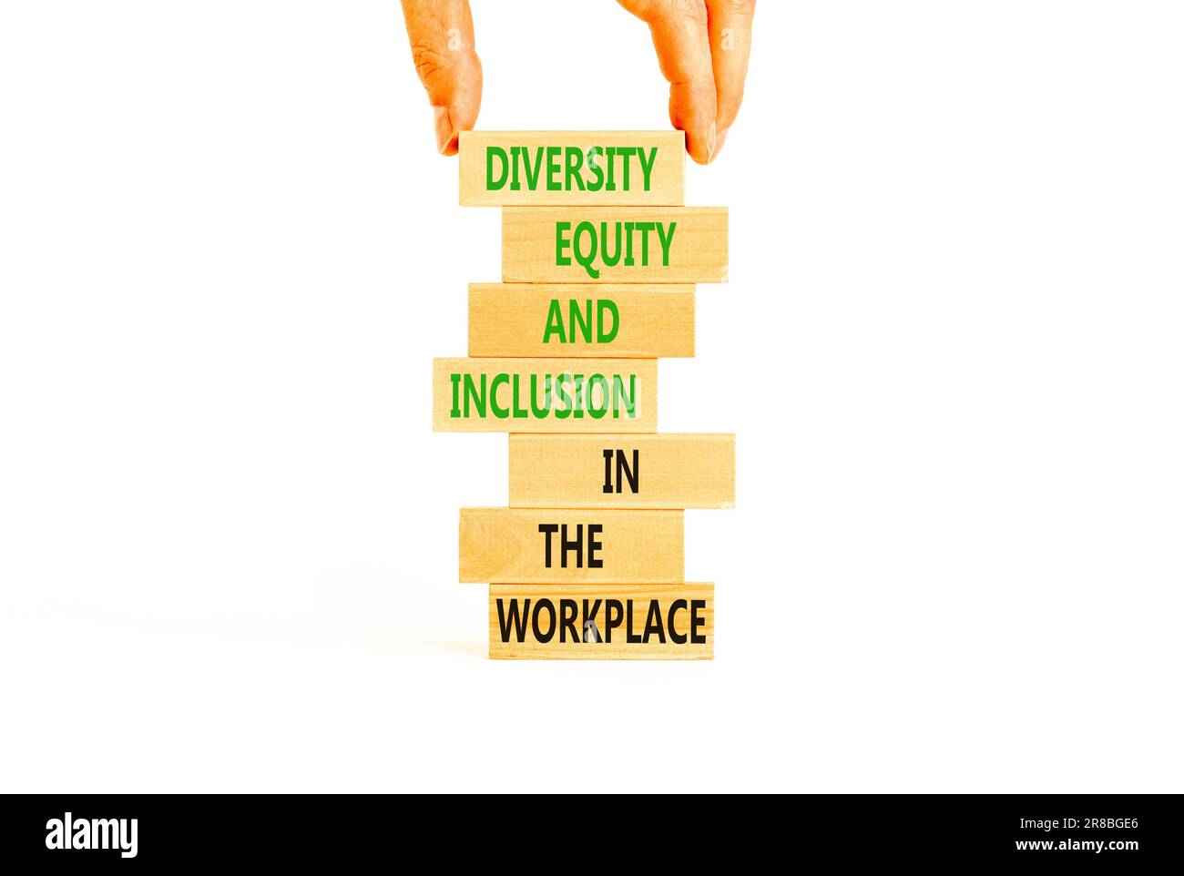 Diversity equity inclusion symbol. Concept words Diversity Equity and ...