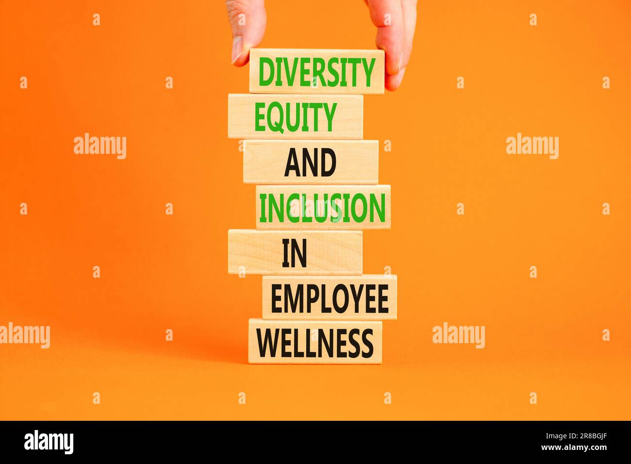Diversity equity inclusion symbol. Concept words Diversity Equity and ...