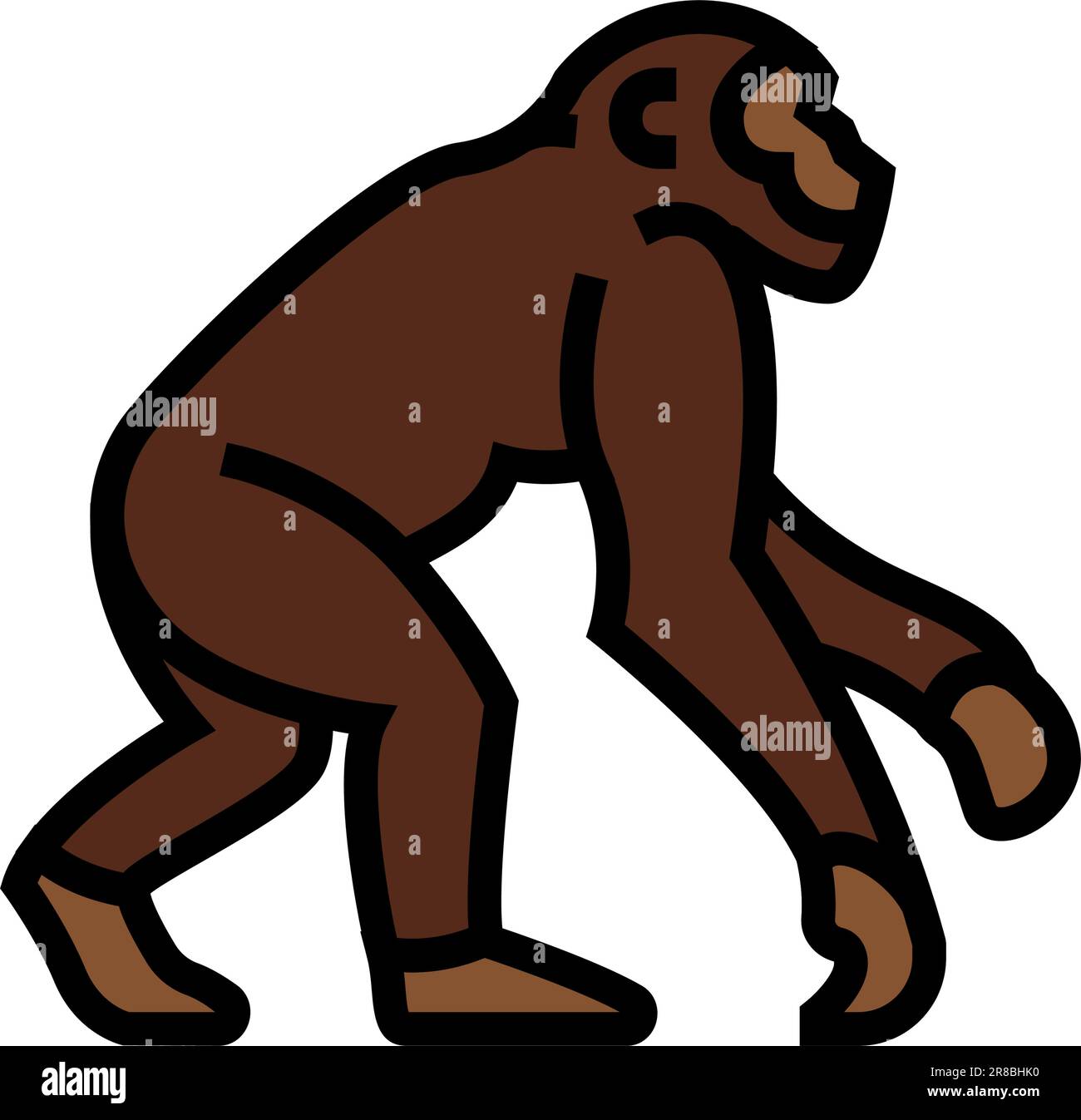 primate ancestors human evolution color icon vector illustration Stock ...