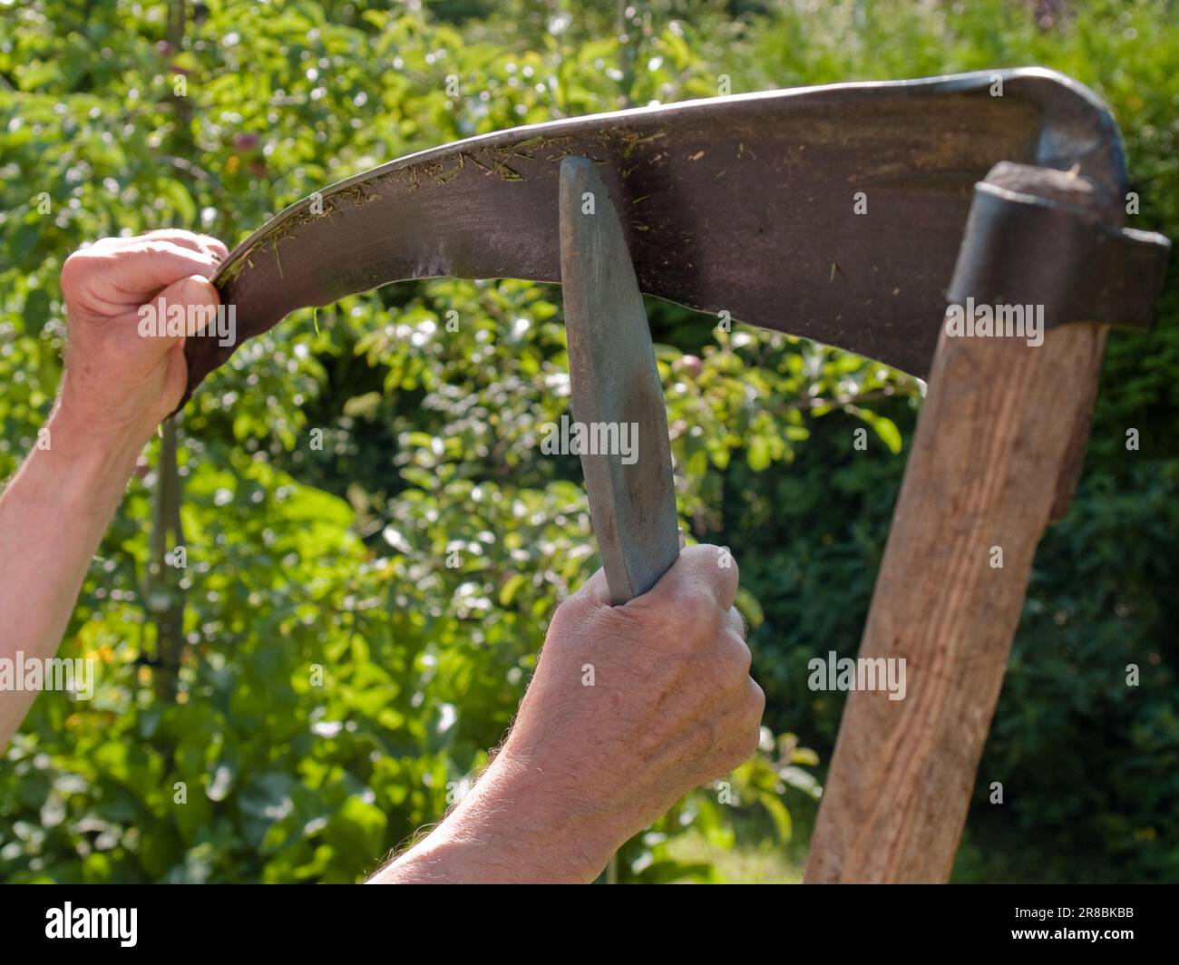 A 77-year-old man sharpens a scythe, southern Germany Stock Photo - Alamy