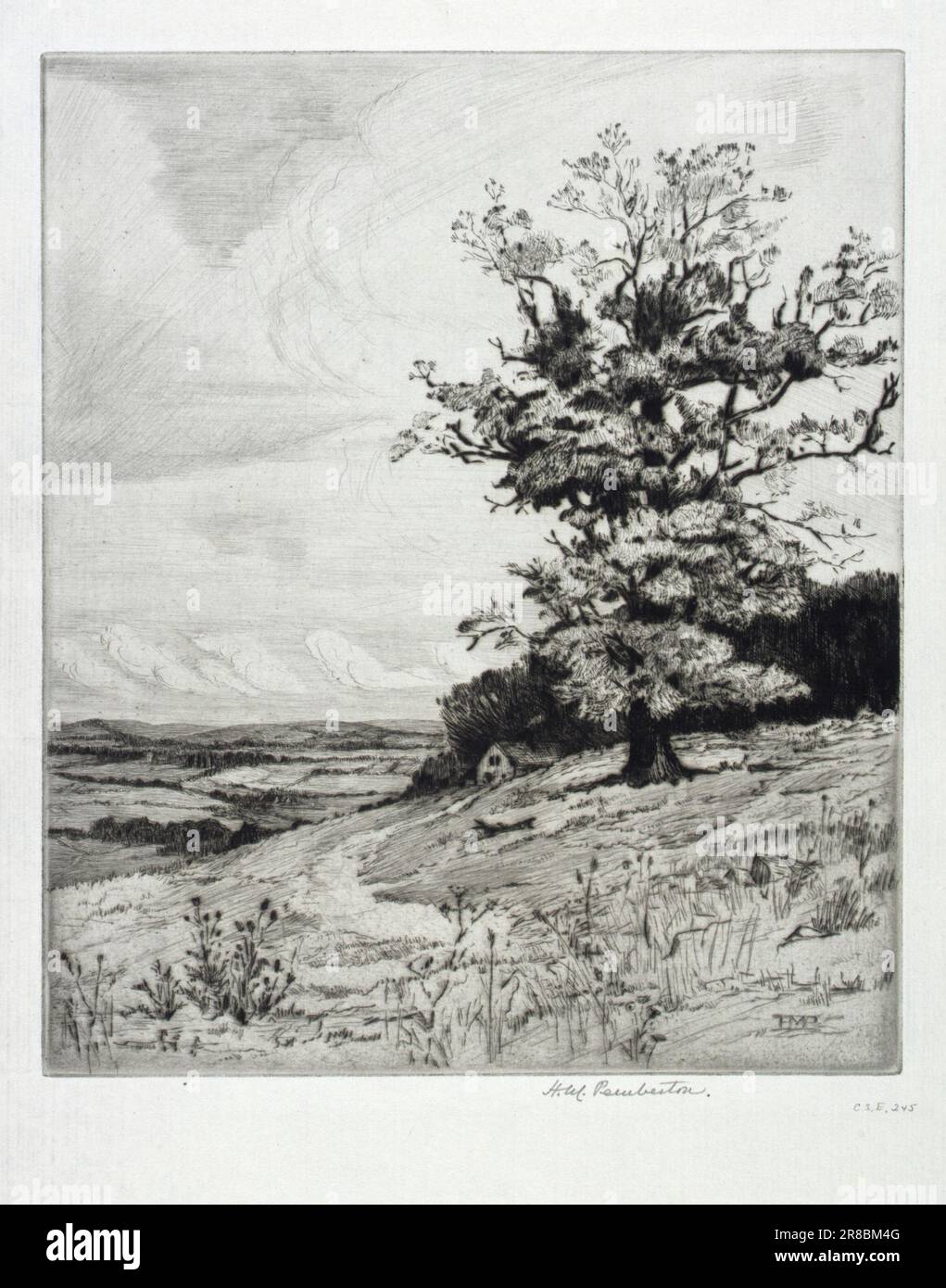 The Oak n.d. by Hilda Mary Pemberton, English, n.d Stock Photo - Alamy