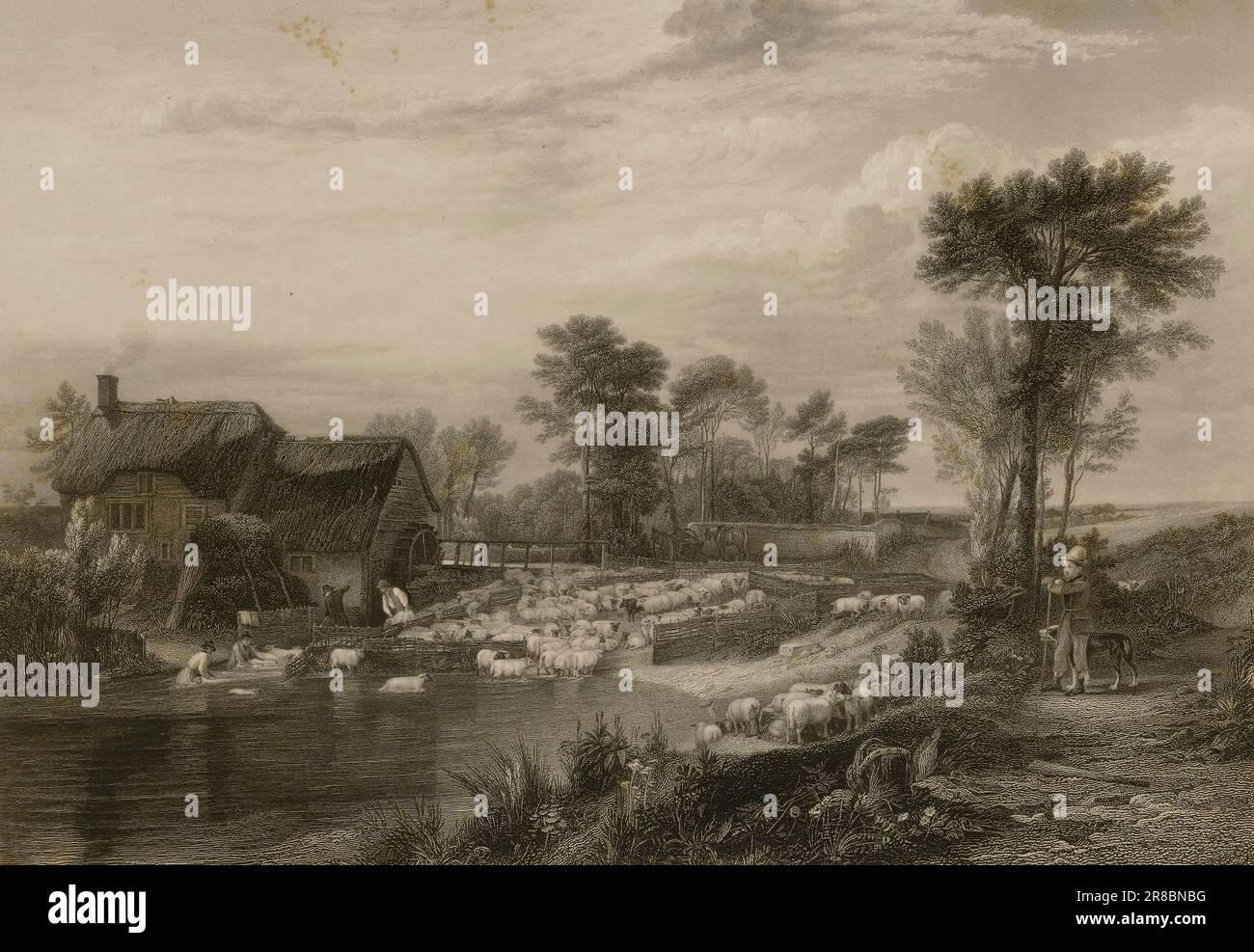 Sheep Washing [] by Edward Finden, English, born London, England 1791 ...