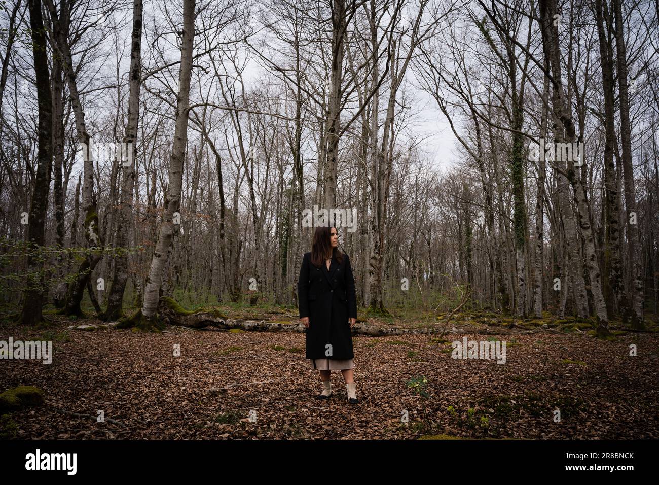 A misplaced woman in a beech forest with a blanket of leaves in autumn ...