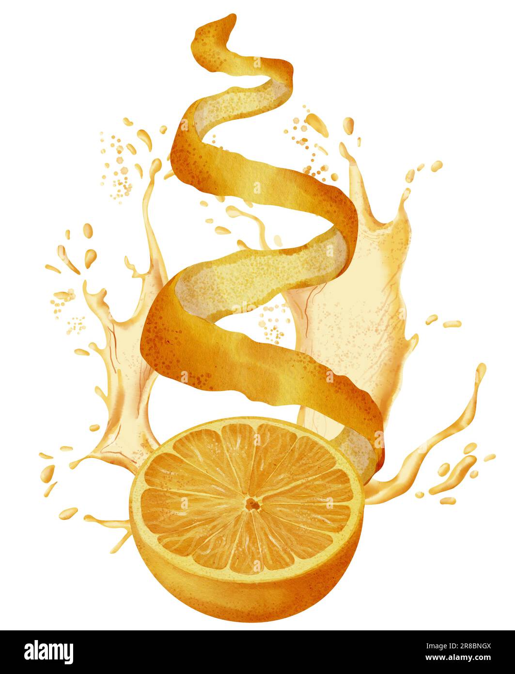 Slice of Orange Fruit with Juice splash and Peel. Hand drawn watercolor ...