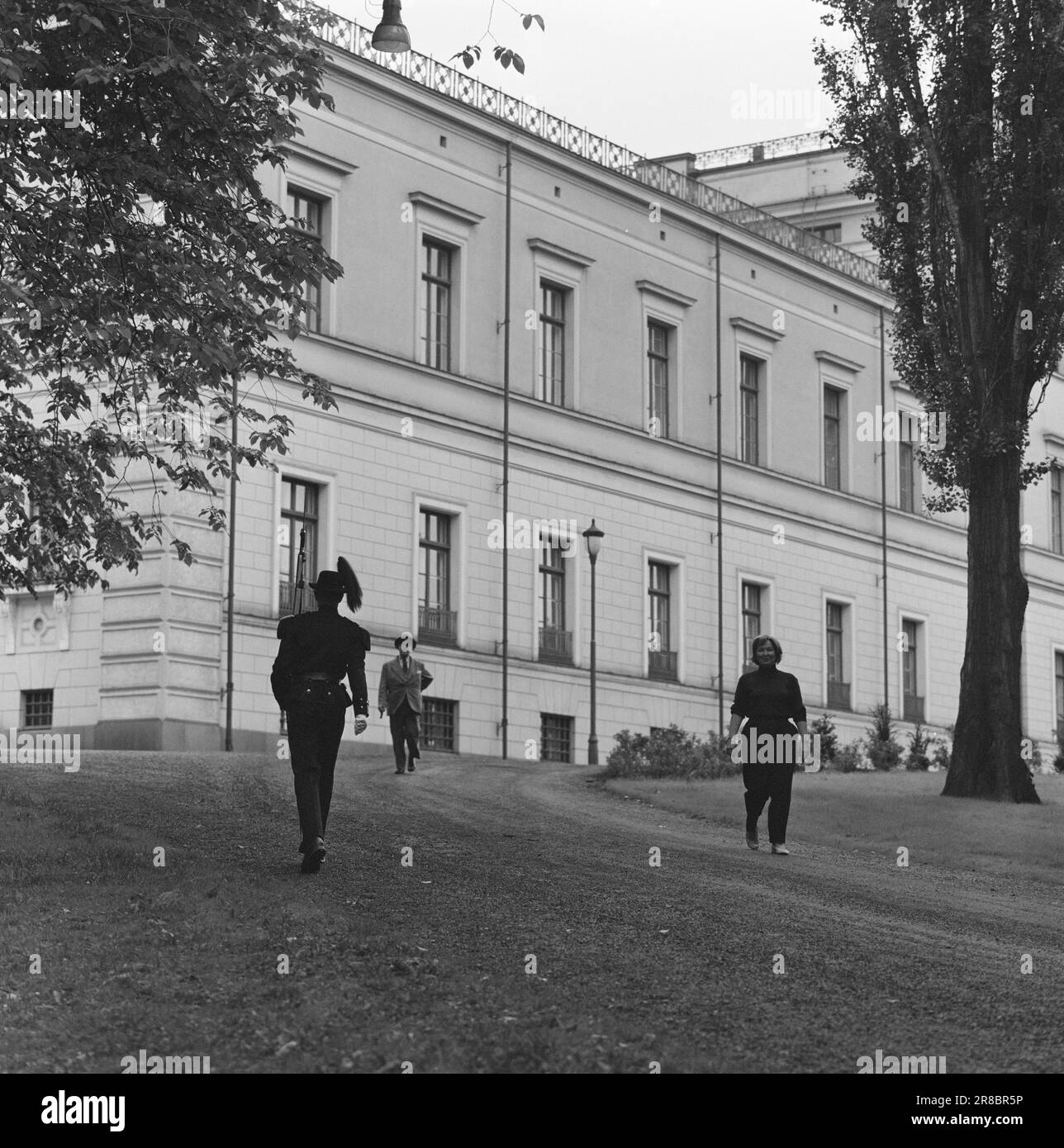 Current 34-9-1960: Art in the king's stable Prize winner Else Hagen is ...