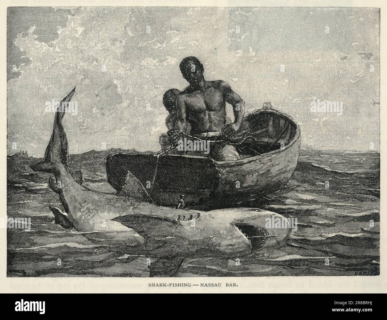 A Peddler, A Nassau Gateway, Shark-Fishing--Nassau Bar, from The ...