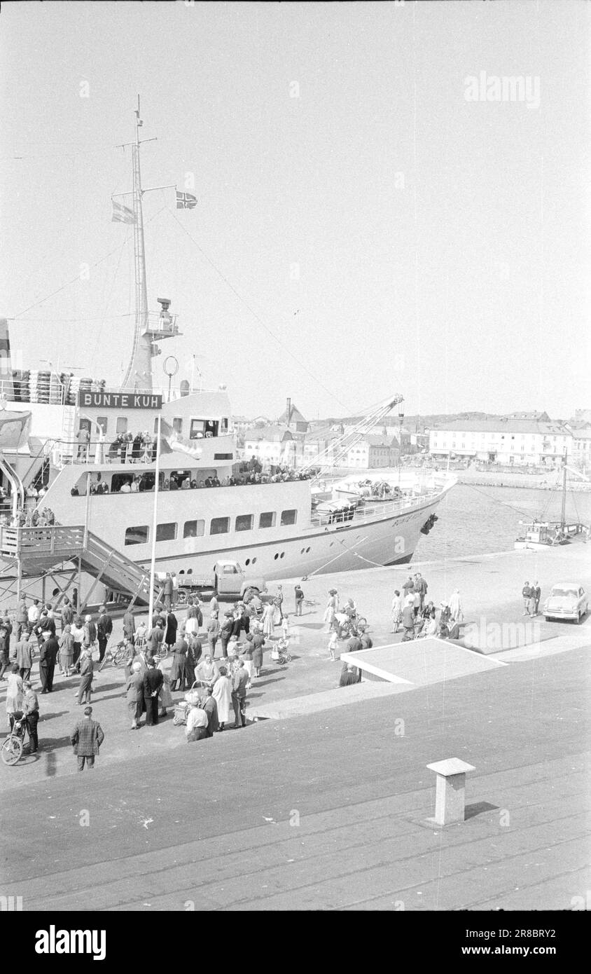 Current 24-2-1960: A ship with Whisky On a day cruise around Færder ...