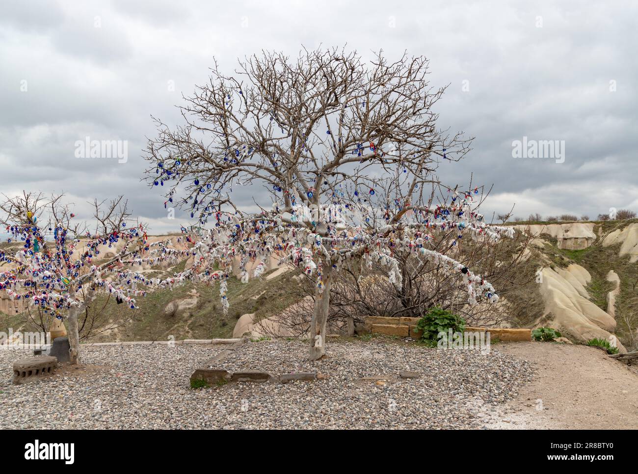 A picture of the Evil Eye Tree, a tree with multiple evil eye charms ...