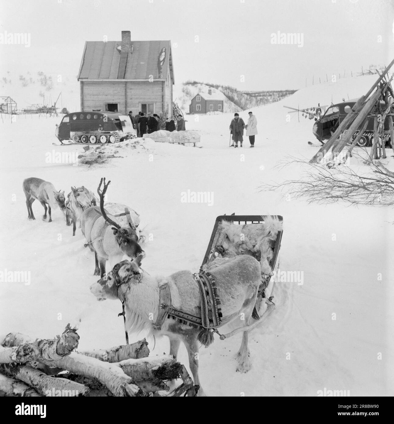 Current 08-1951: Revolution on the plain [image 0053]The Finnmark plain ...