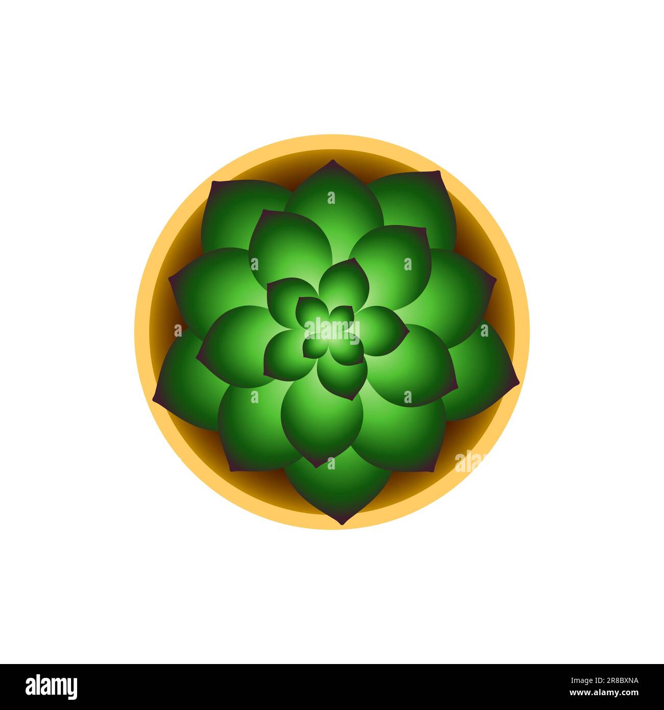Succulent. Cute vector illustration. View from above. Object for mock ...