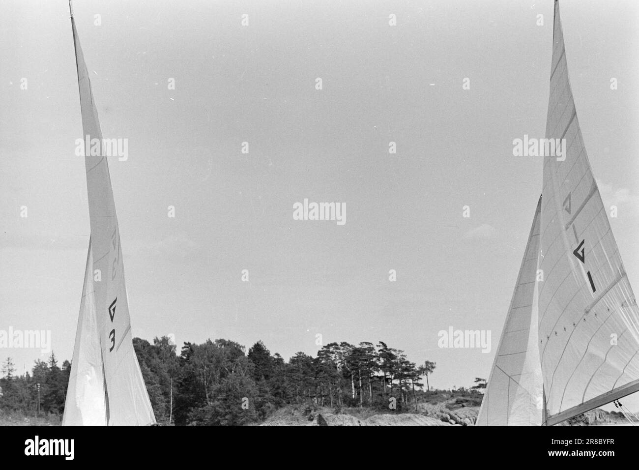 Current 29-3-1960 : Breeze in small sails. Future great sailors start ...