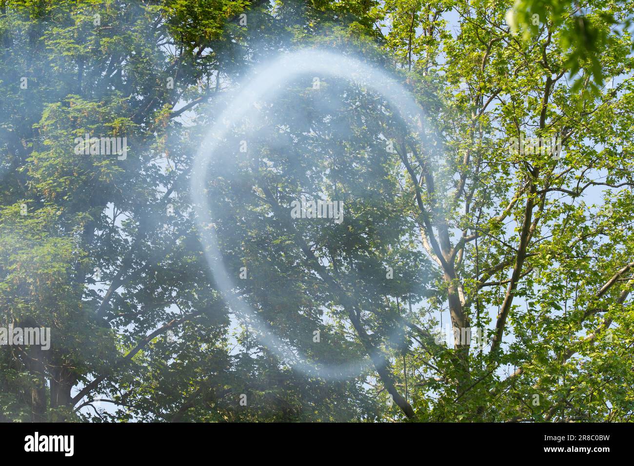 Big smoke circle, ring flying in front of trees Stock Photo - Alamy
