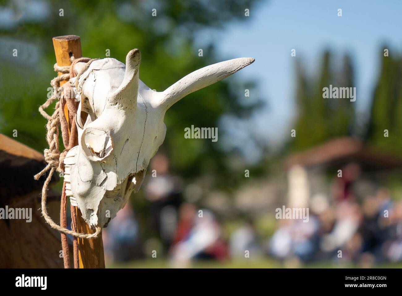 Shaman's staff with a sheep's skull Stock Photo - Alamy
