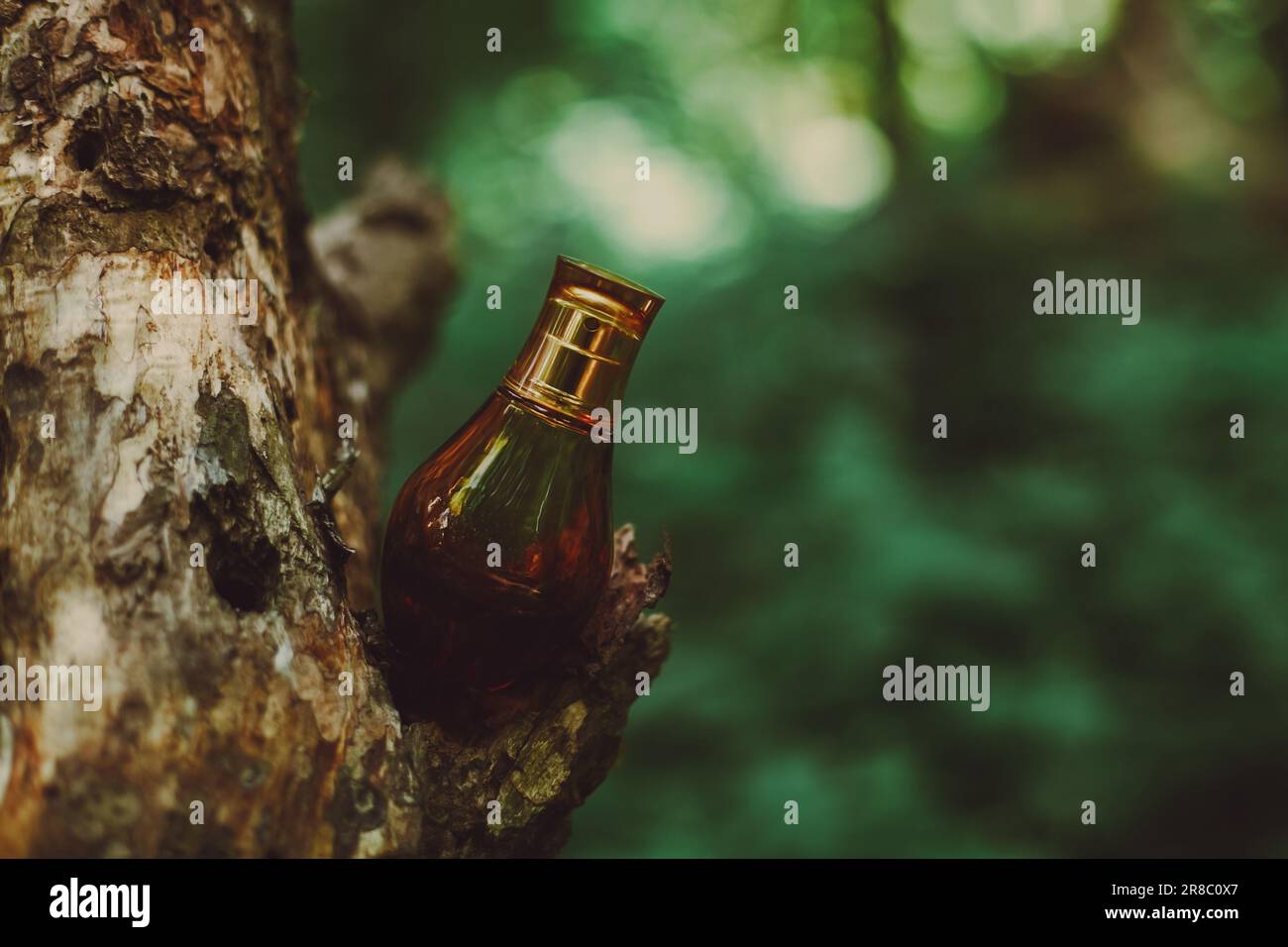 Stylish bottle of perfume Stock Photo - Alamy