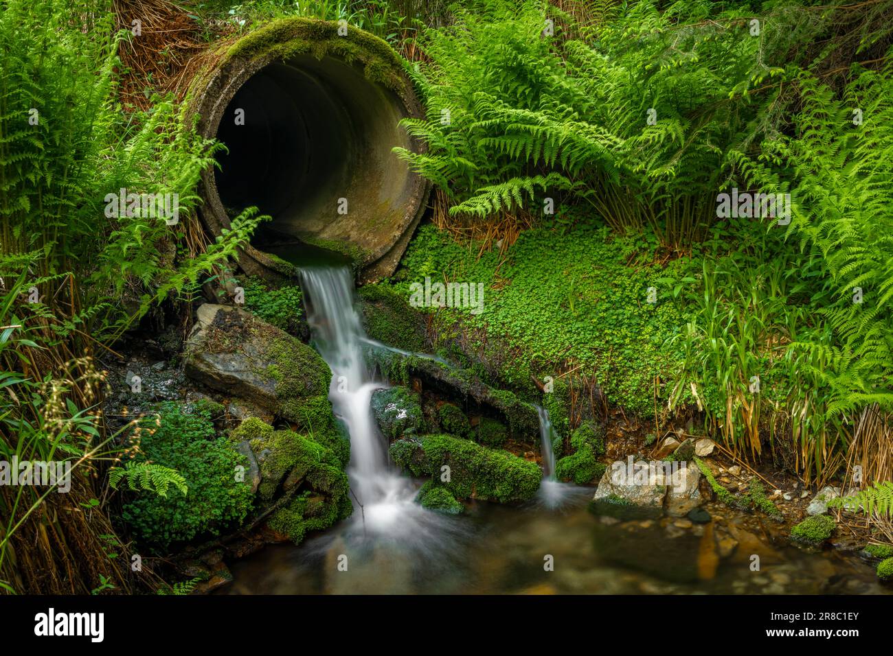 Grosse Mittweida creek in Erzgebirge mountains with tube under path in ...