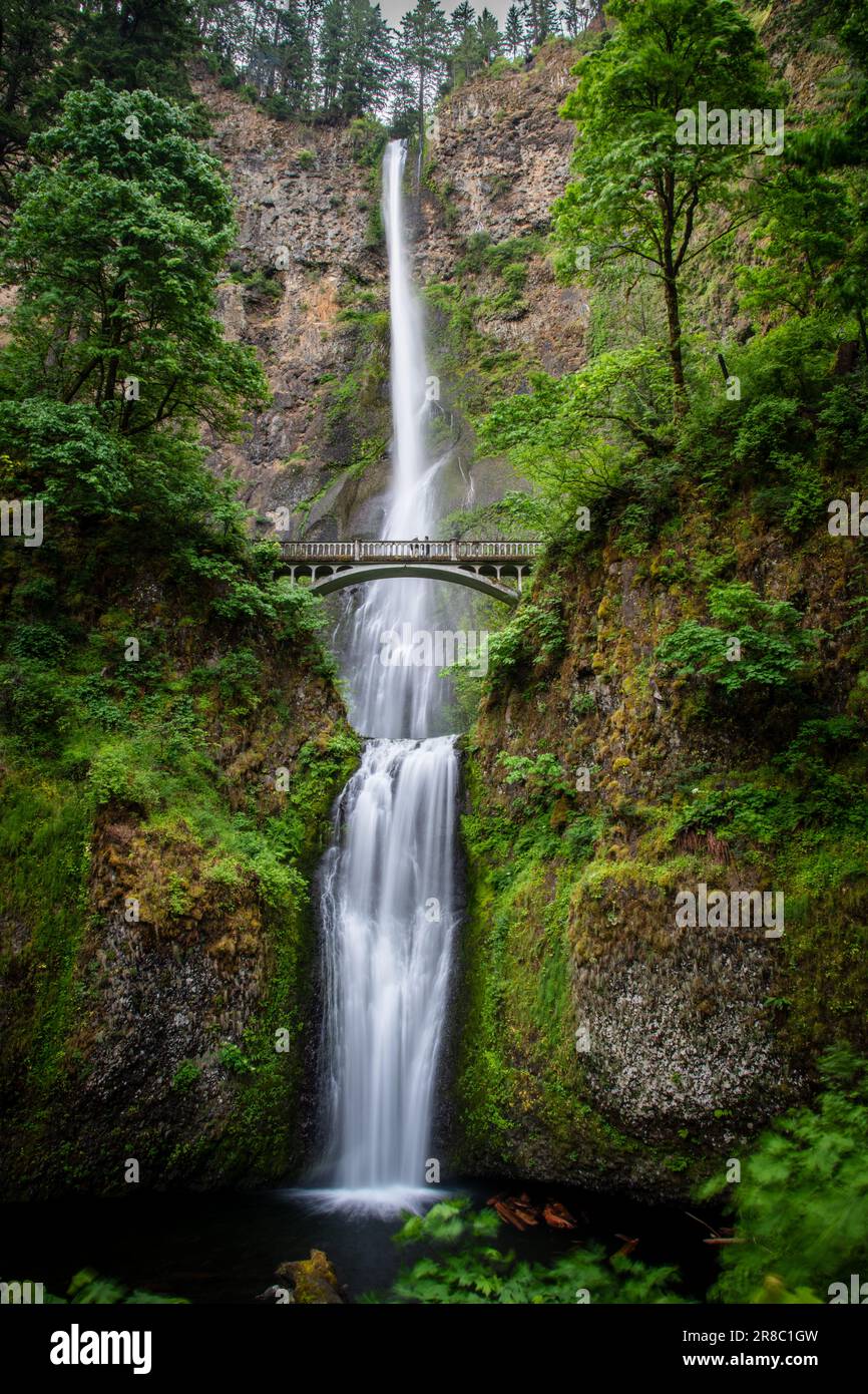 Multnomah Falls is a waterfall in the Columbia River Gorge National ...