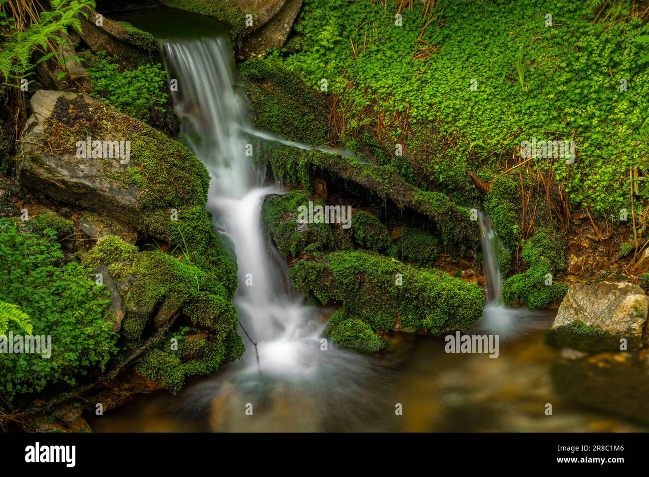 Grosse mittweida hi-res stock photography and images - Alamy