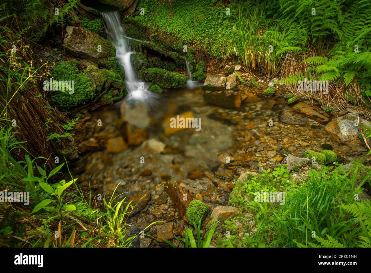 Grosse Mittweida creek in Erzgebirge mountains with tube under path in ...