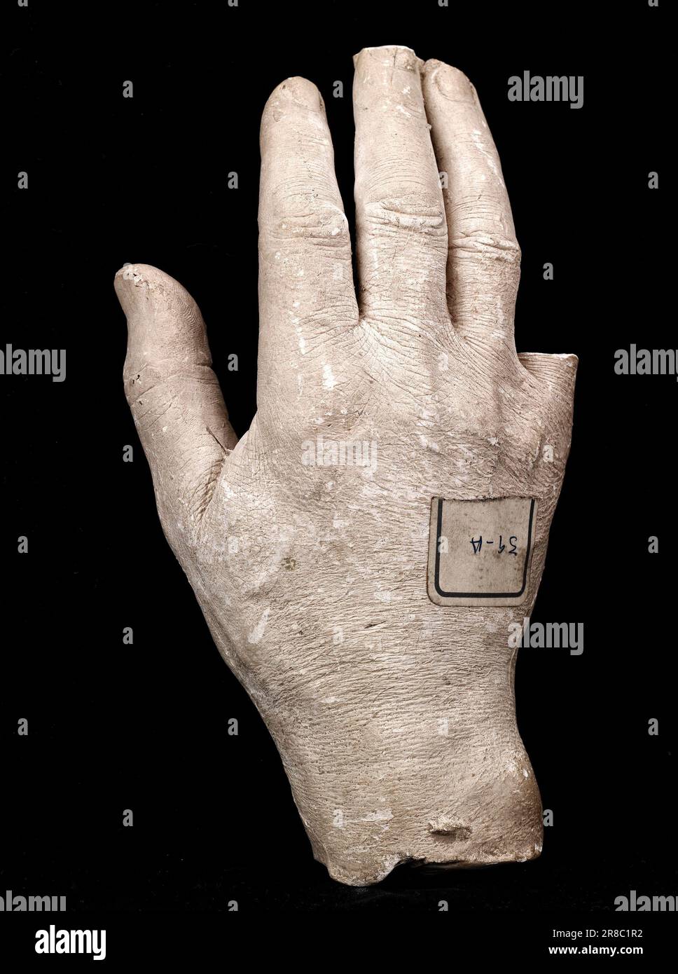 Cast of Unidentified Right Hand, Possibly Cornelius Vanderbilt's (one ...