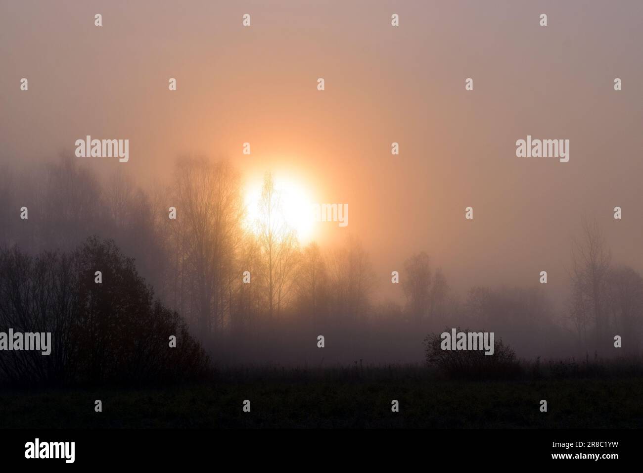 Rising through mist hi-res stock photography and images - Alamy