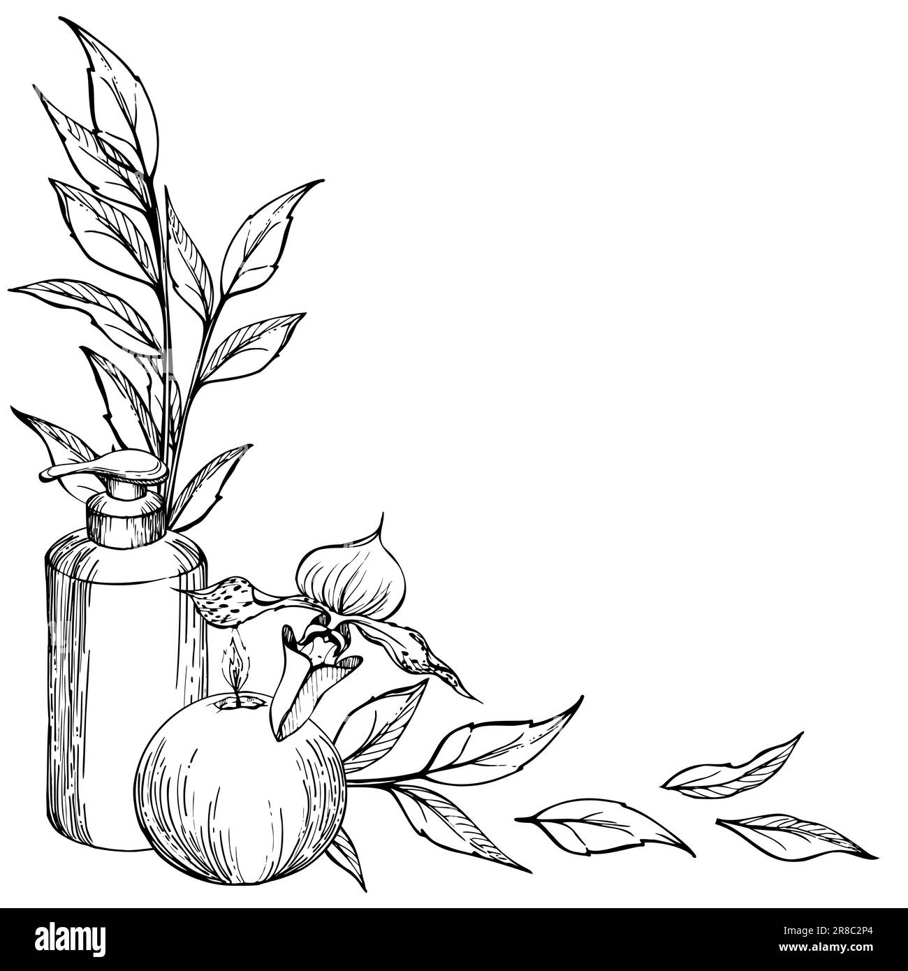 Hand drawn vector ink spa skincare bath beauty products package with ...