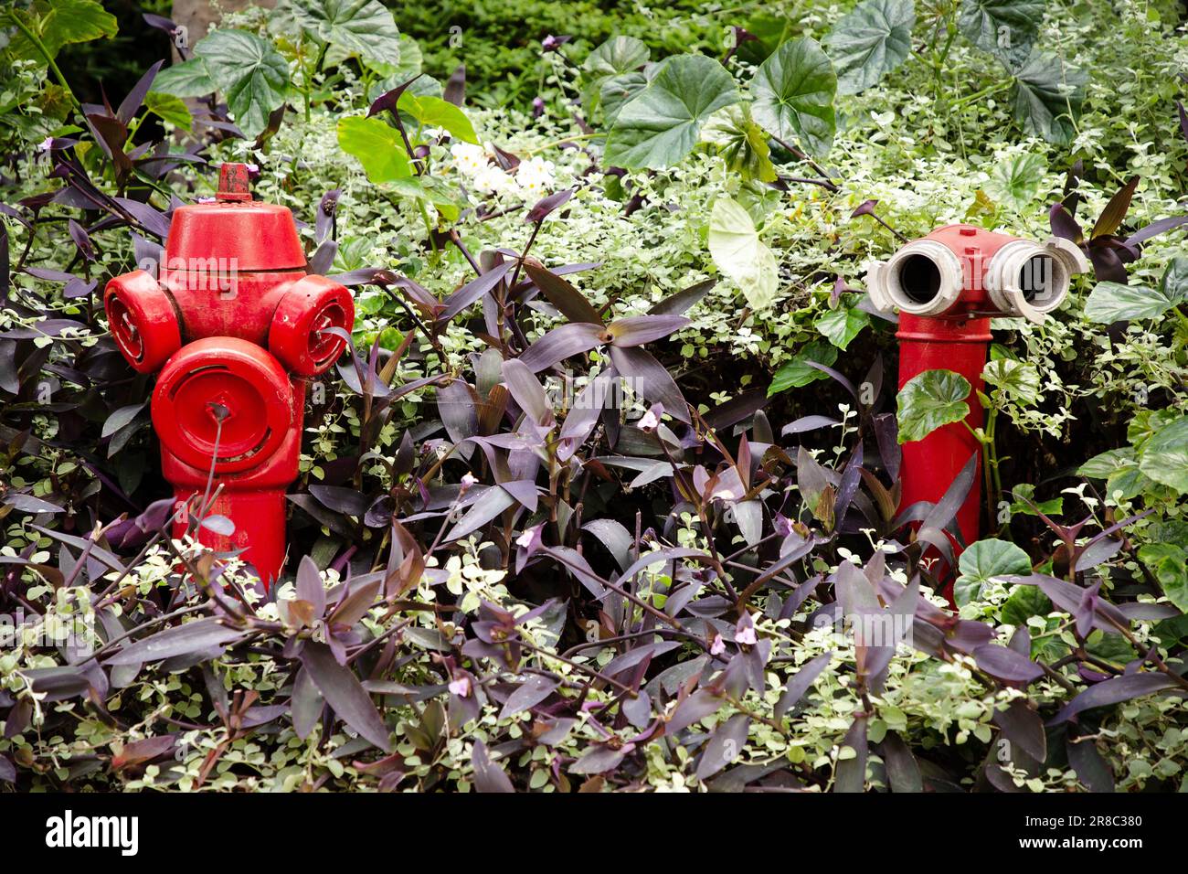 Two valve water hydrant fire hi-res stock photography and images - Alamy