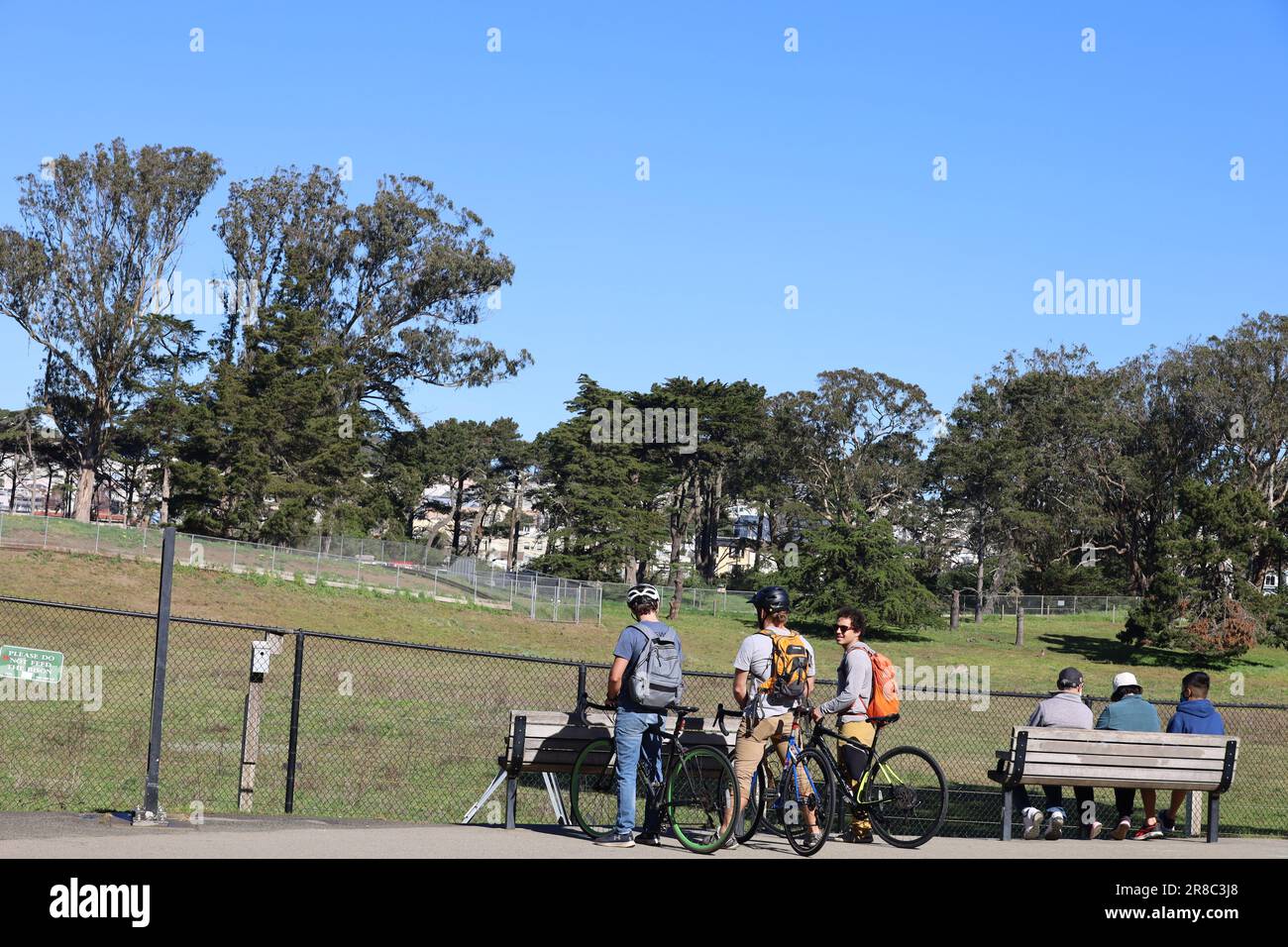 Golden gate park san francisco bison hi-res stock photography and ...