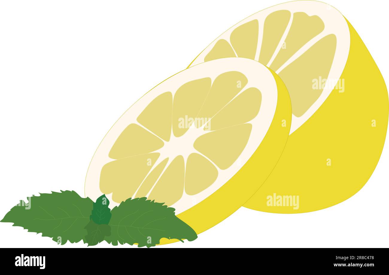 Lemon with mint icon, vector illustration isolated on white background ...