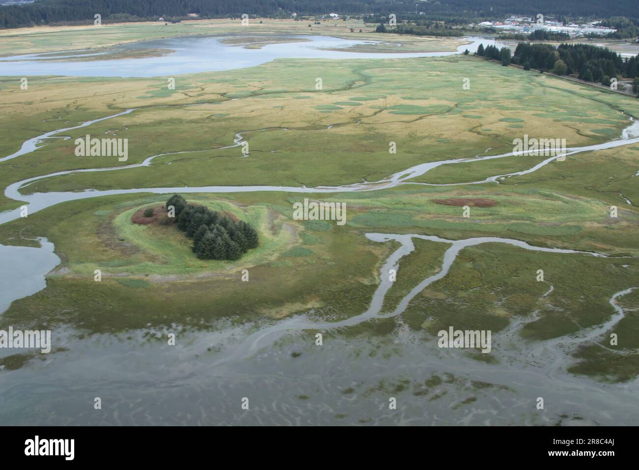 Alaska's inner passage; admiralty island; pack creek; Pavlov lake and ...