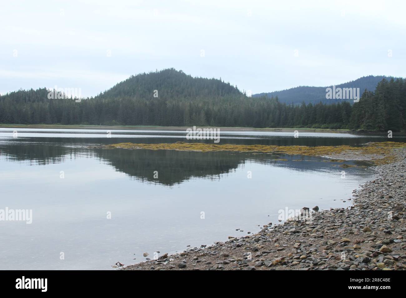 Alaska's inner passage; admiralty island; pack creek; Pavlov lake and ...