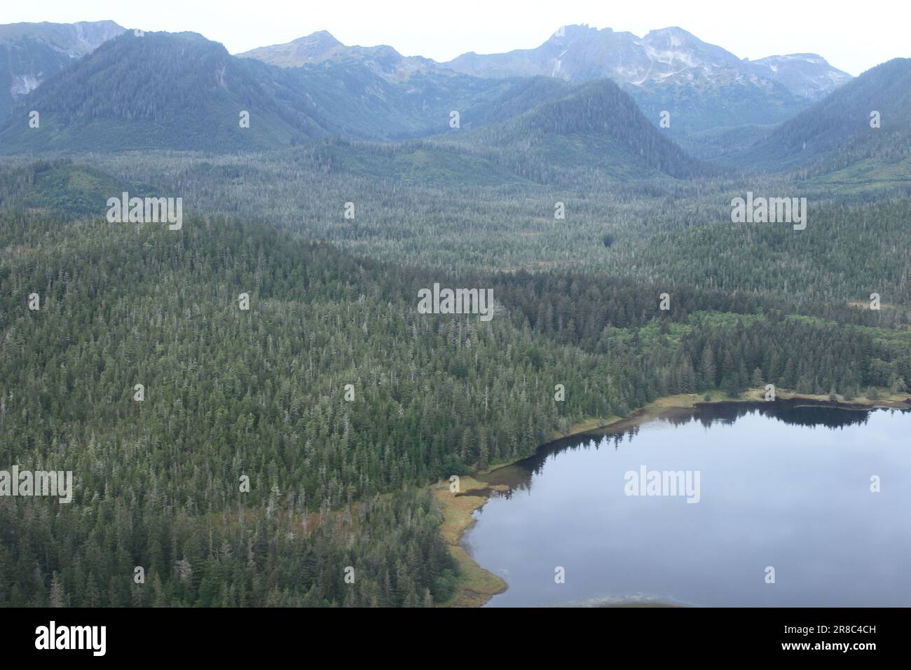 Alaska's inner passage; admiralty island; pack creek; Pavlov lake and ...