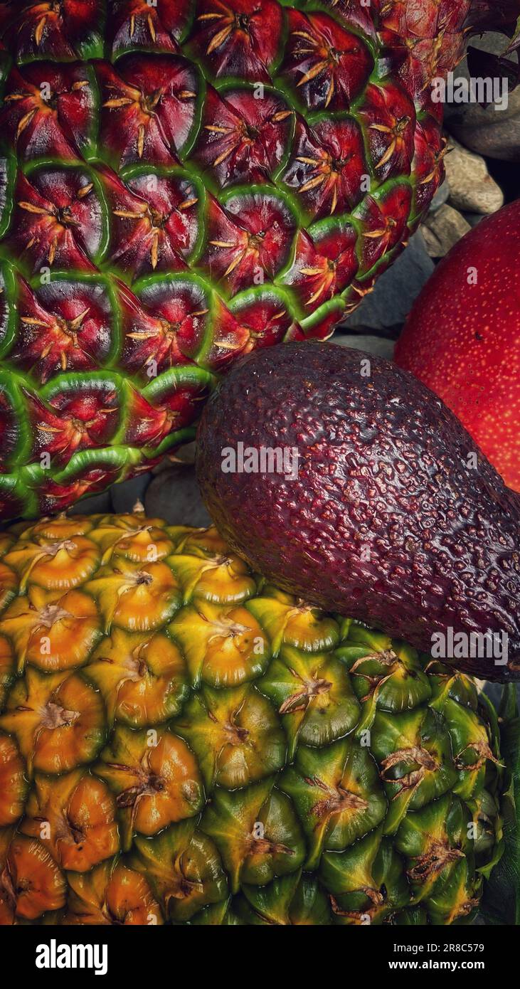 Peruvian avocados hi-res stock photography and images - Alamy